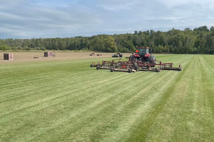 Queensville Sod Farm - Fresh Sod Supplier in Toronto & GTA
