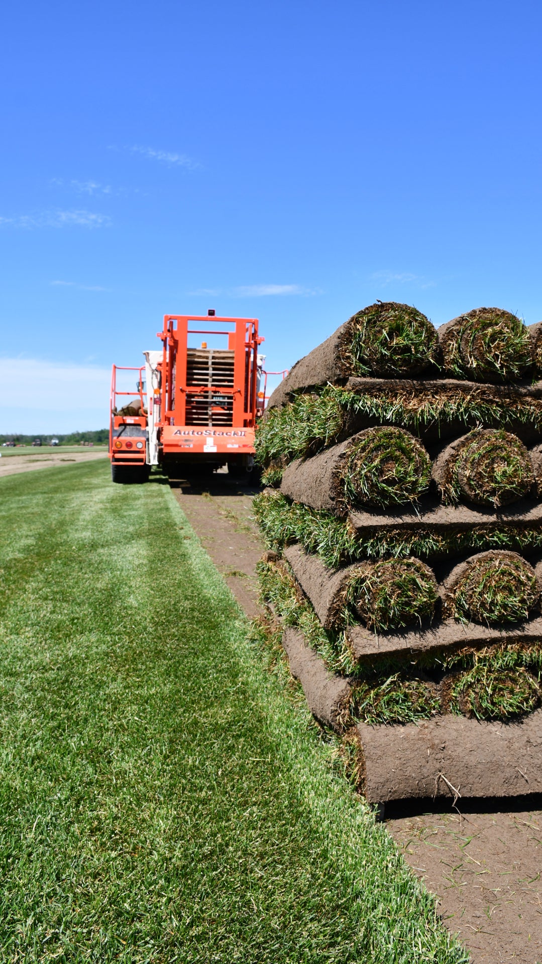 Queensville Sod Farm - Fresh Sod Supplier in Toronto & GTA